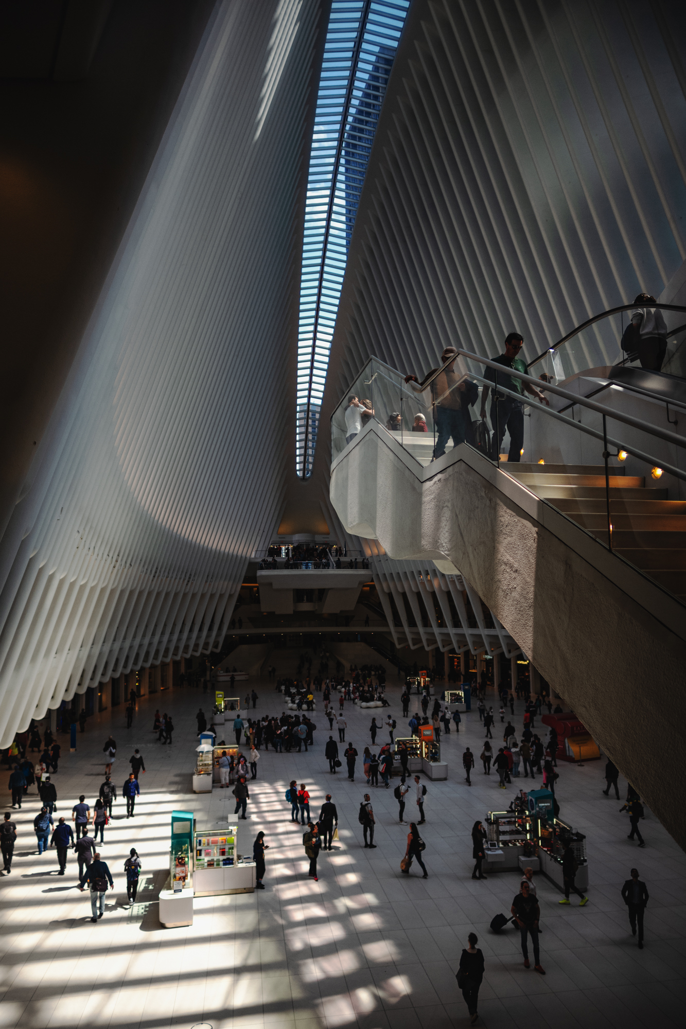 A Street Photography Location Nonpareil | Tulip Frenzy